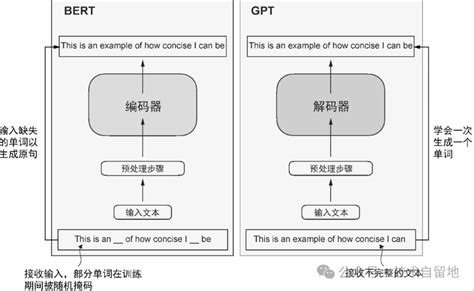 一文讲清楚大模型中8个关键词及原理：llm、transformer、gpt、bert、预训练、微调、深度学习、token csdn博客