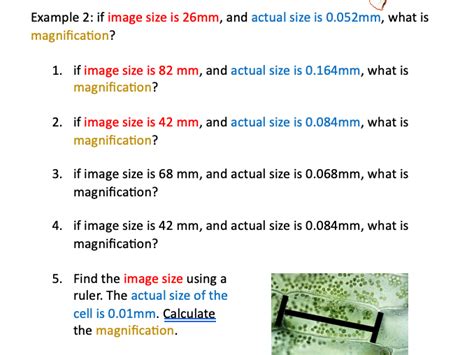 Magnification Calculations Teaching Resources