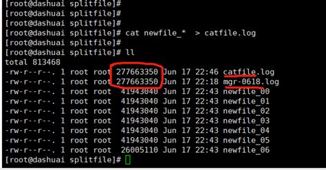 使用linux分割较大的日志文件，查看日志 大帅大帅 博客园