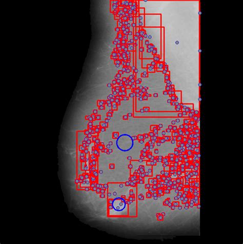 detected objects and their merging process download scientific diagram