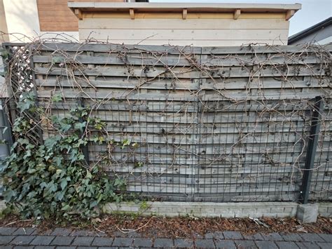 Recenzja Xiaomi Przepi Kny Wydajny Smartfon W Kt Rym Zabrak O Jednego