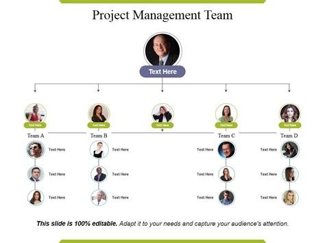 Project Management Team Ppt PowerPoint Presentation Layouts Layout Ideas