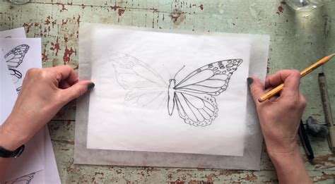 This Is How To Draw A Butterfly In Steps Skillshare Blog