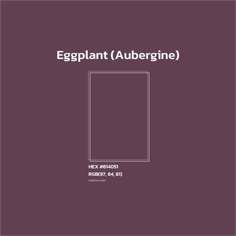 About Eggplant Aubergine Color Codes And Meaning Matching Colors