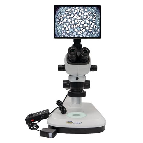 Medical Microscopes For Sale Ebay