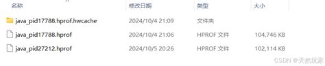 【gc日志和oom日志分析】jvm Gc日志和oom Dump文件分析jvm Oom Dump Csdn博客