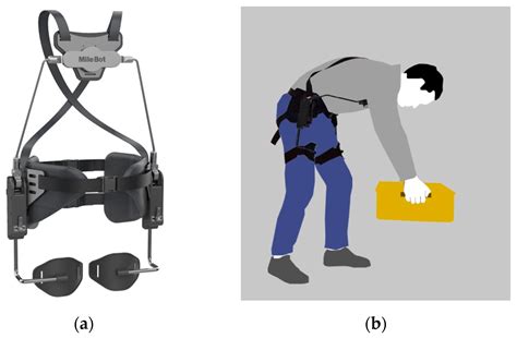 Passive Exoskeleton Effects At Frank Keith Blog