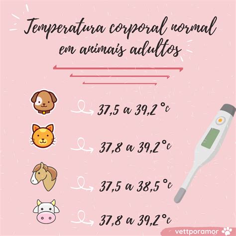 Temperatura Corporal Signos Vitales Combi Girda