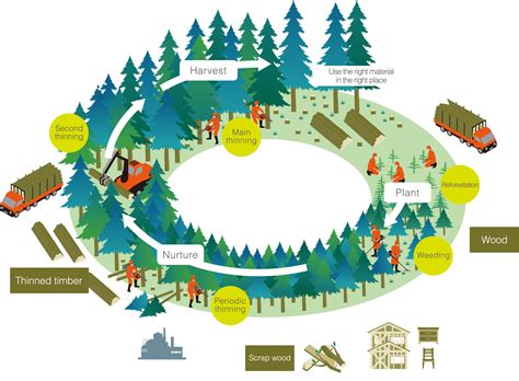 The Power Of Cellulose By Daicel Daicel Corporation