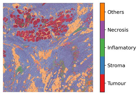 Semantic Segmentation Models TIA Toolbox Documentation