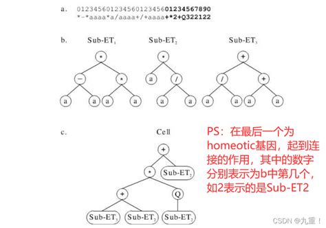 基因表达式编程gep自学 第【2】天 Python 实现开放阅读框orfs Csdn博客