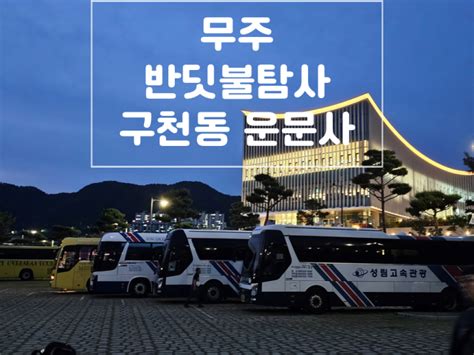 [무주]운문산 반딧불이 신비탐사 생태탐험 무주반딧불축제 무주반딧불탐사 이용후기 무주가볼만한곳 김환태 문학관 최북미술관 무주상상반디숲 네이버 블로그
