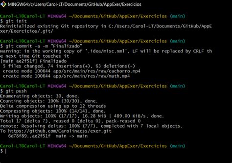Github Carolinacssexer