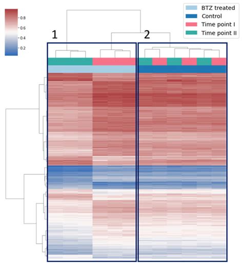 heatmap illustrating unsupervised clustering of beta values at 687