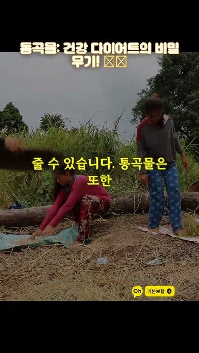 통곡물 건강 다이어트의 비밀 무기 💪🌾 식이섬유 건강 Youtube