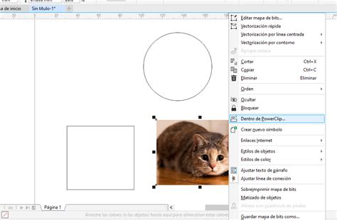 ignorar materno condensador power clip corel draw frecuencia problema