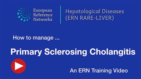 Primary Sclerosing Cholangitis Psc