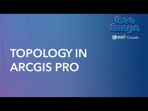 Topology In ArcGIS Pro