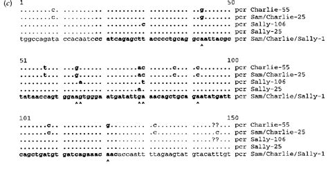 figure 1 from quasispecies evolution of a hypervariable region of the