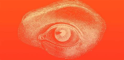 How Eye Scanning Impacts Visual Hierarchy In Ux Design Visual