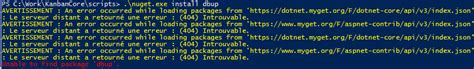 Server Error Reported When Using Nuget To Install Package From
