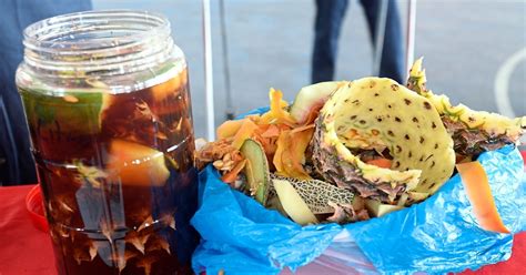Eco Enzyme Cairan Fermentasi Sampah Organik Yang Miliki Manfaat Luar