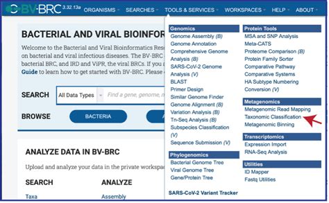 Taxonomic Classification Service Bv Brc