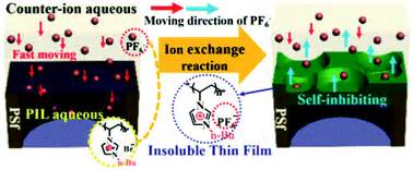 Preparation Of A Positively Charged Nanofiltration Membrane Based On Hydrophilichydrophobic