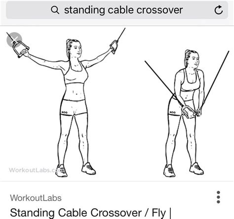 19 Exercise Examples Ideas To Save Today Exercise Workout Workout