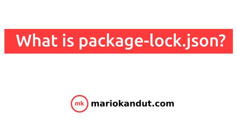 what is package lock json