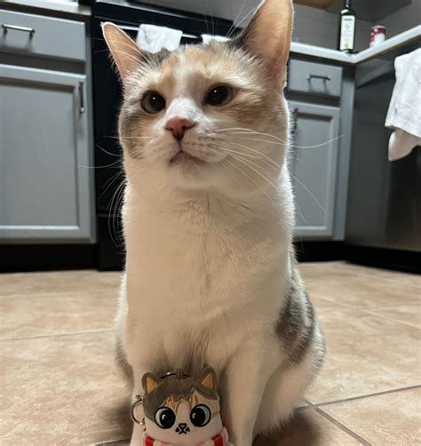 章鱼哥｜ensvceth On Twitter 上次slope偷偷上传助记词到服务器后，今天又一个钱包出事了。 说句可能会被人骂的话。没