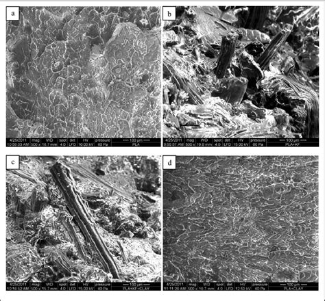 Scanning Electron Microscope Sem Fractograph Of A Polylactic Acid