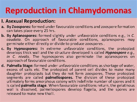 General Features Of Chlorophyceae Green Algae Chlorophyceae Green
