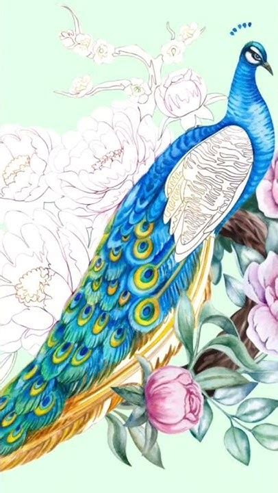 동백꽃과 예쁜 공작새 색칠하기 ⚘️🦚🦚 Youtube