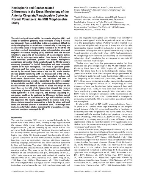 Pdf Hemispheric And Gender Related Differences In The Gross