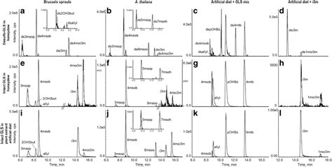Lc Ms Multiple Reaction Monitoring Mrm Chromatograms Of Intact And