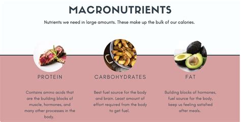 Understanding The Importance Of Macros Without Obsession Hormone Healing RD