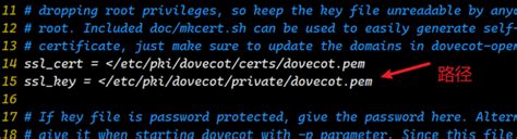 Linux中使用postfix和dovecot搭建邮箱系统服务 阿里云开发者社区
