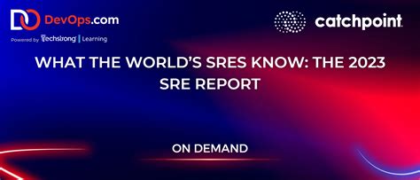 What The Worlds Sres Know The 2023 Sre Report