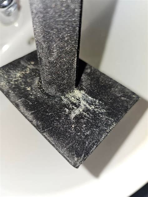 Hundreds Of Tiny Eggs In A Package From China R Whatsthisbug