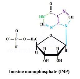 Inosine Monophosphate Imp