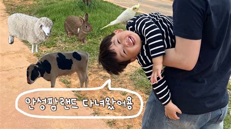 Vlog 26개월 아기랑 가기 좋은 안성팜랜드 🐑🌲ㅣ 도서관 📖ㅣ28주 임산부🤰🏻ㅣ육아브이로그 Youtube