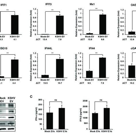 Microarray Analysis For Mrna Expression In Human Endothelial Cells Download Scientific