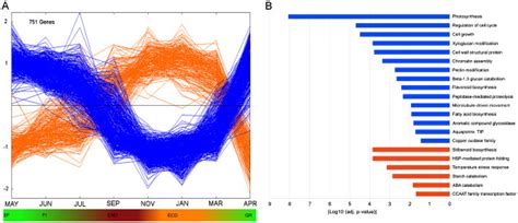 Top Scored Transcripts For Principal Component 1a Expression Profiles