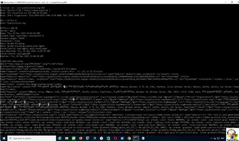 Установка netcat в windows и linux Настройка серверов windows и linux