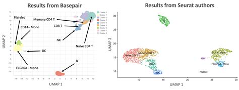 Introducing Our Significantly Upgraded Single Cell Rna Seq Pipeline