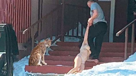 Пока парень был в армии друг сделал с его невестой то отчего