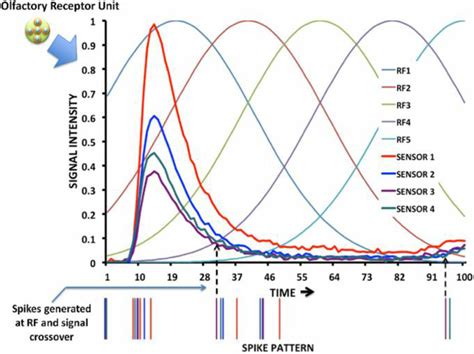 Encoding A Sample Sensor Response Into A Spike Pattern In 2015 [106