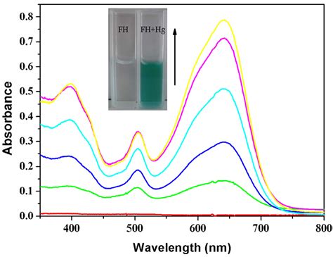 Sensitive Colorimetric And Fluorescent Detection Of Mercury Using Fluorescein Derivations