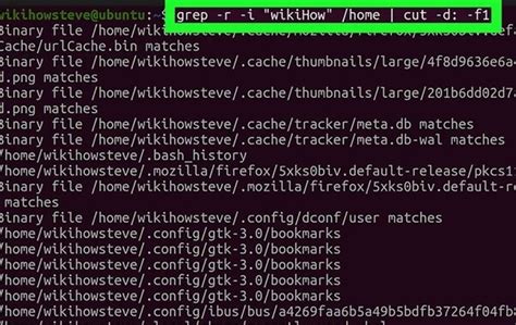 Hoe Bestanden En Mappen In Linux Te Vinden Beginnershandleiding Easeus